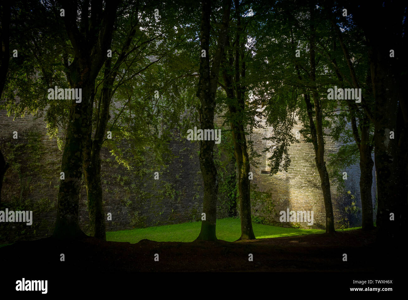 Dark foreground shadow hi-res stock photography and images - Alamy