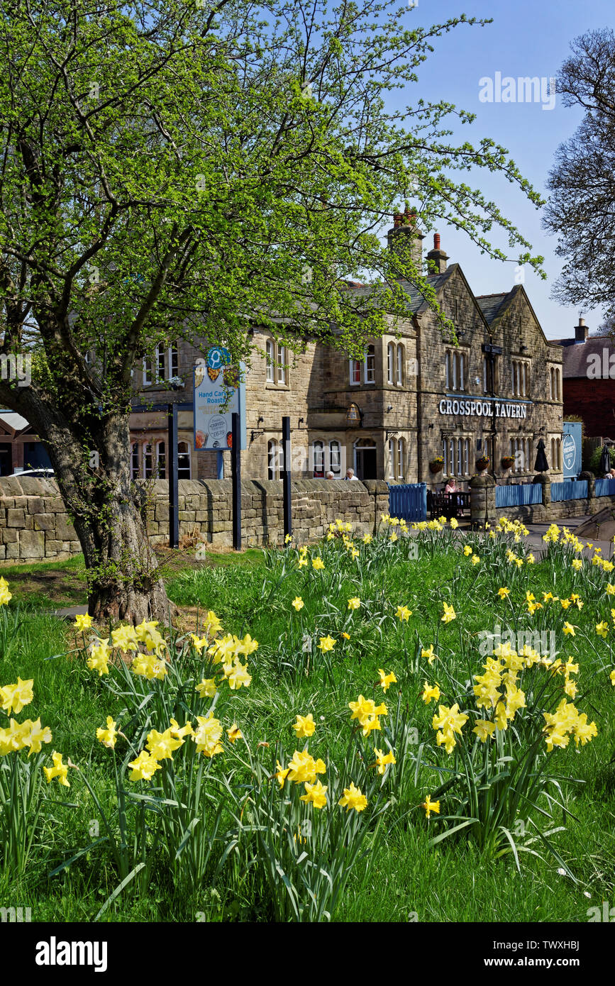 Crosspool hi-res stock photography and images - Alamy