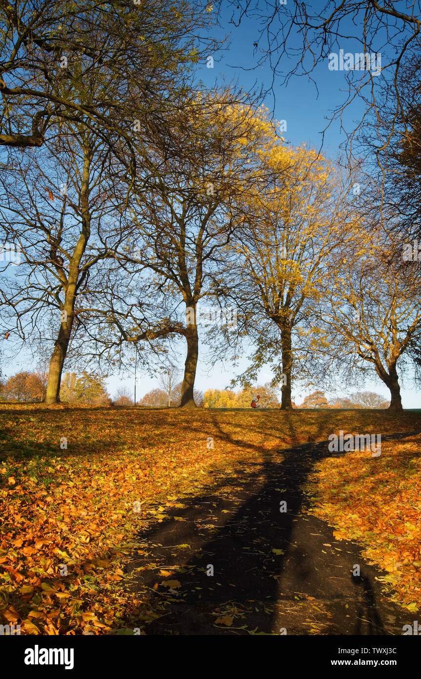 Firth park road entrance hi-res stock photography and images - Alamy