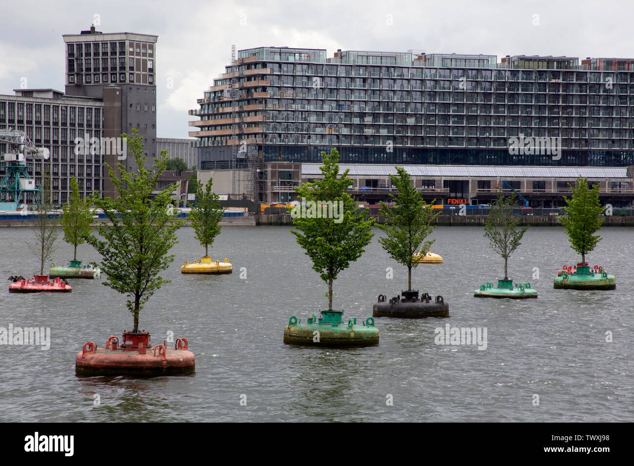 Recycled park rotterdam hi-res stock photography and images - Alamy