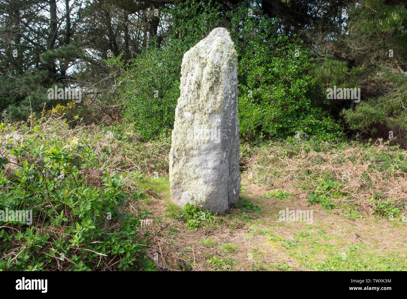 Long Rock Standing Stone, St Mary's, Isles of Scilly, Cornwall UK Stock ...