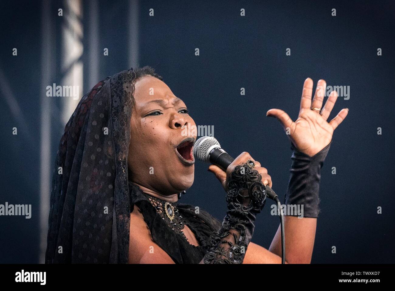 African moonlight hi-res stock photography and images - Alamy