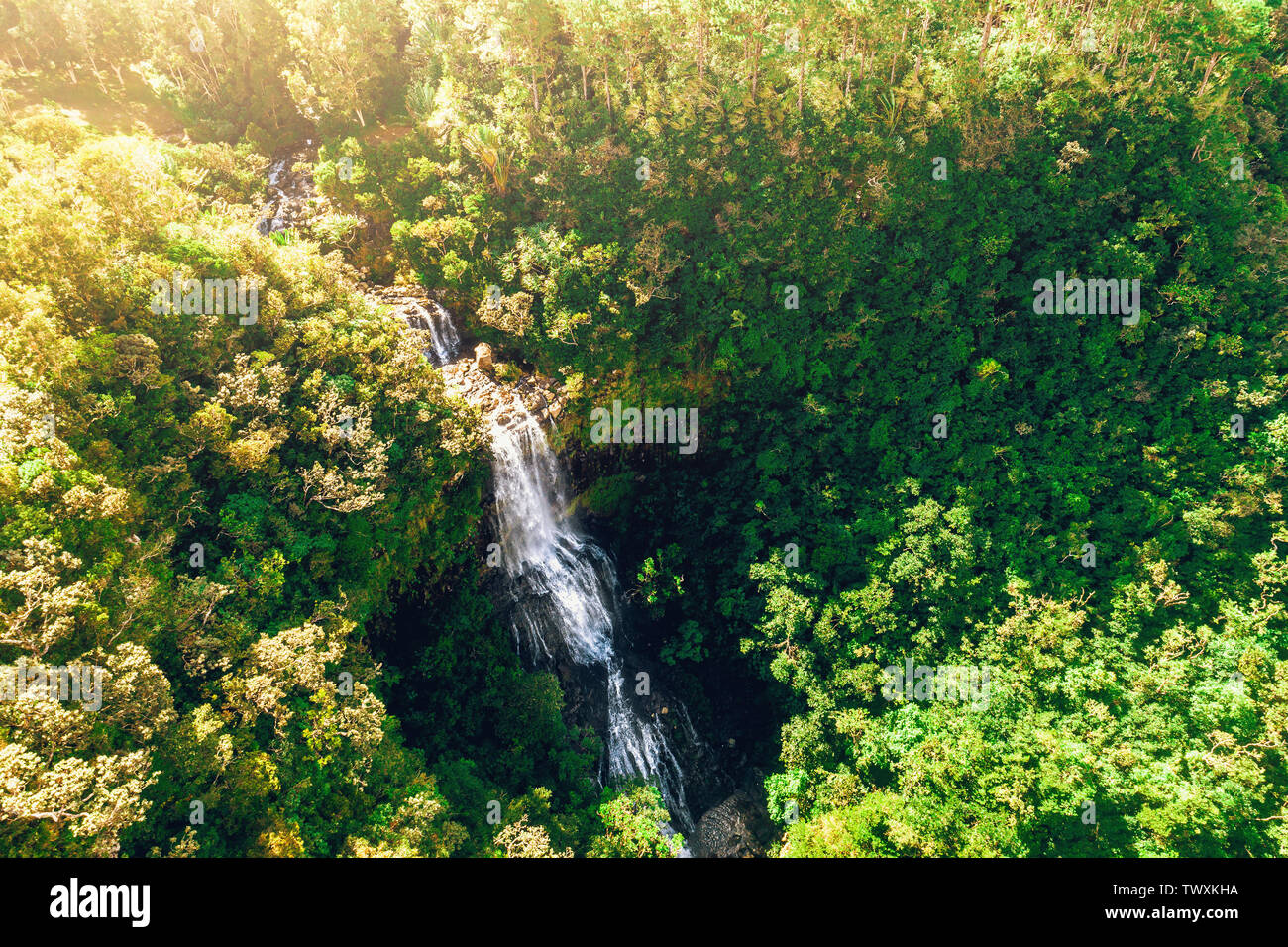 Aerial drone view of remote Alexandra Falls in Black River national ...