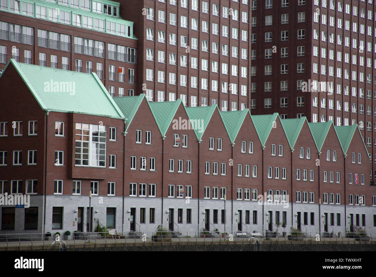 Row of identical green-roofed houses along the waterfront in Rotterdam ...