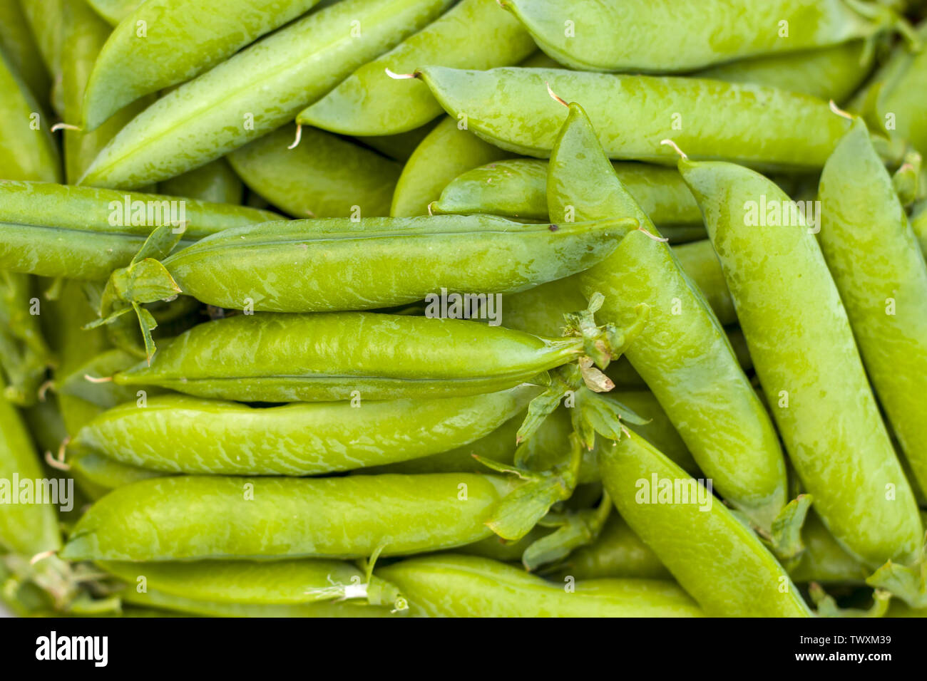 Green peas pods background. Vegetable diet plant. Vegan food ingredient ...
