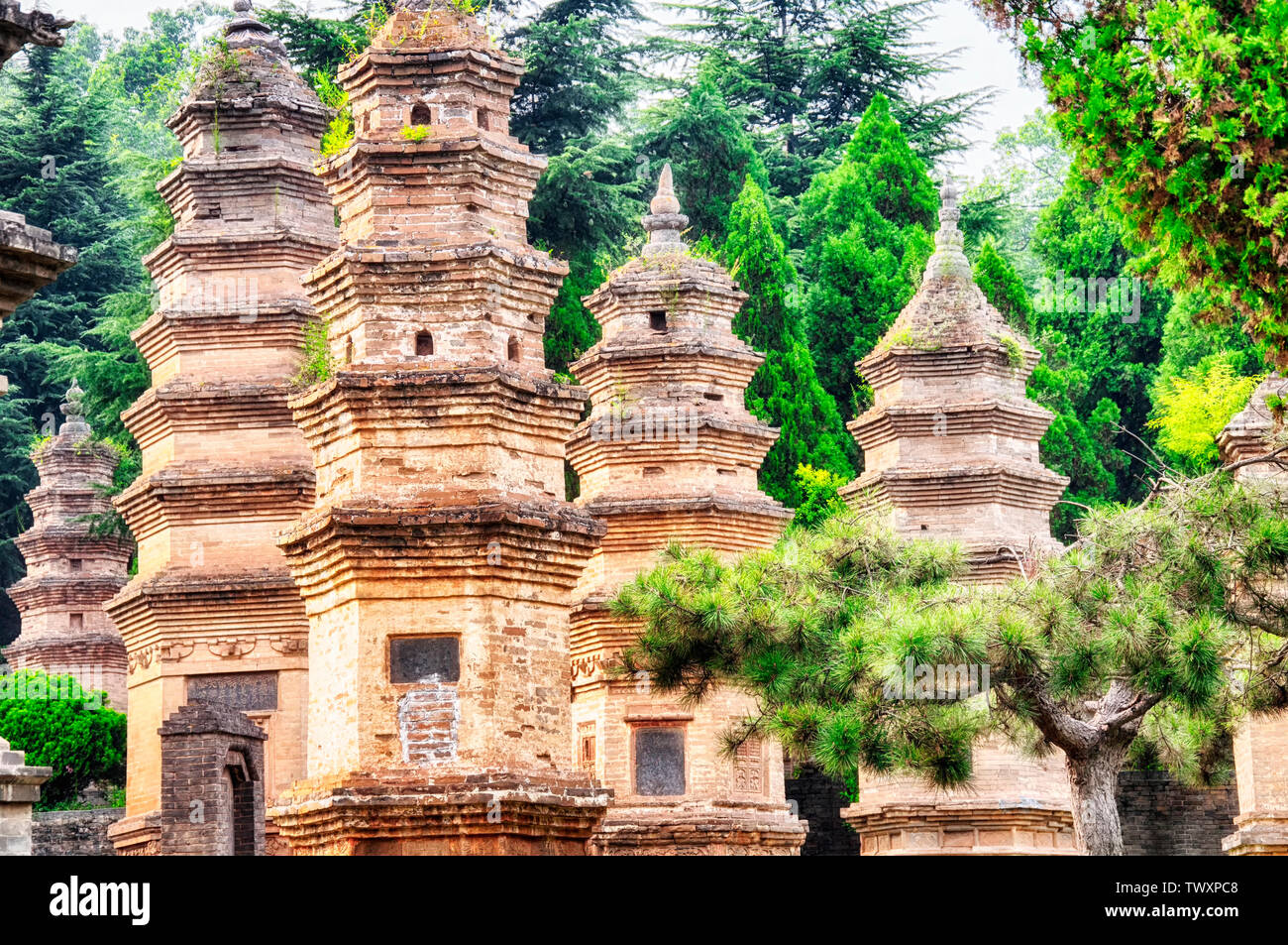 Shaolin temple henan hi-res stock photography and images - Alamy