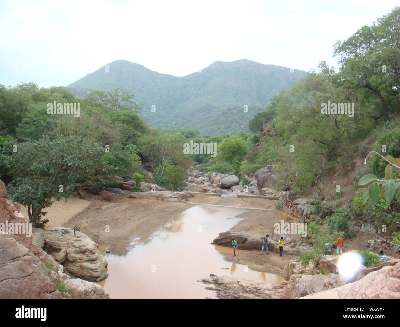 Amirthi forest and zoological park hi-res stock photography and images ...