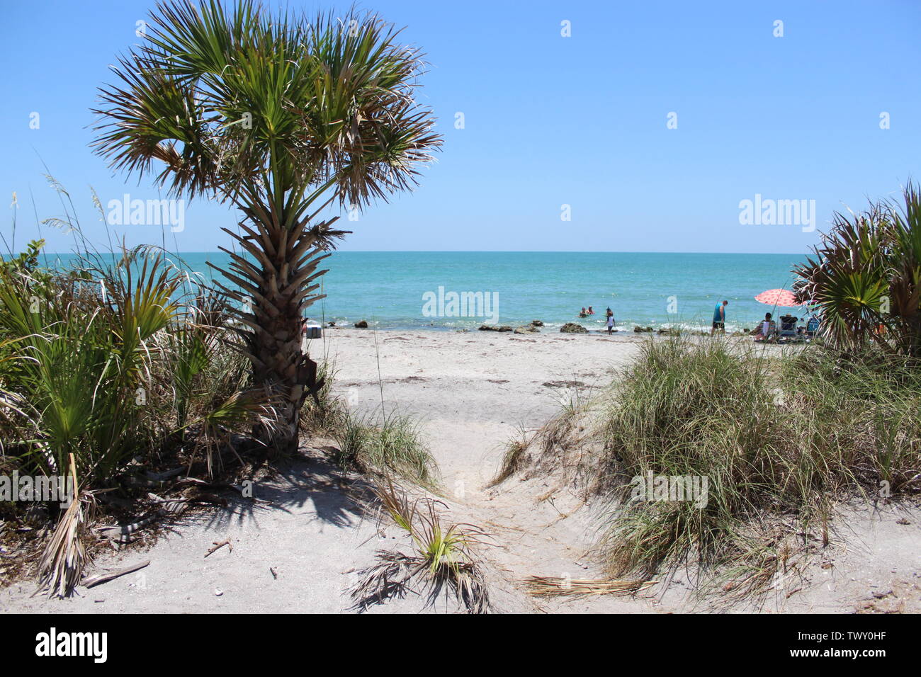 Casperson Beach Florida USA Stock Photo - Alamy
