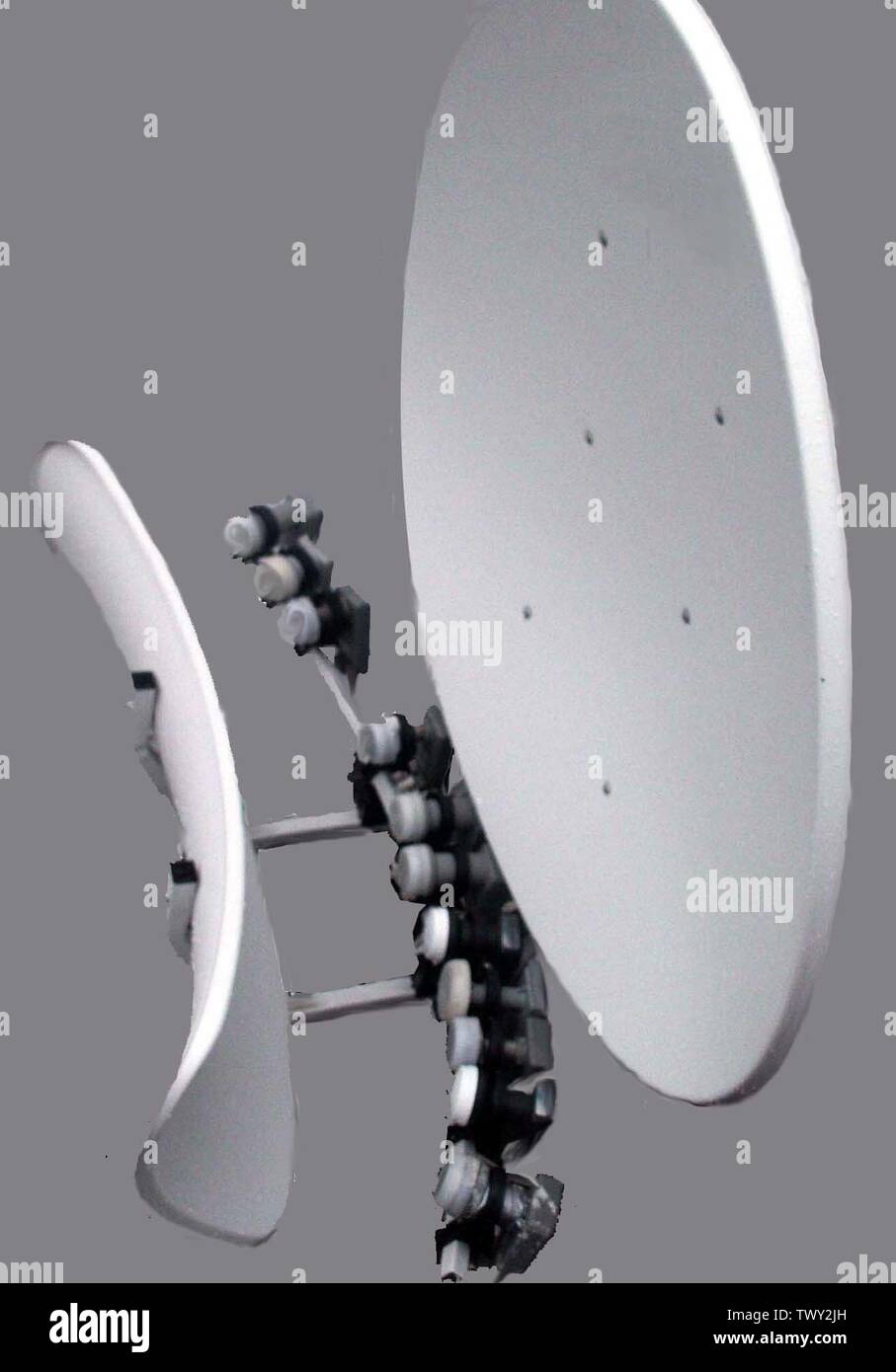 Toroa High Resolution Stock Photography and Images - Alamy