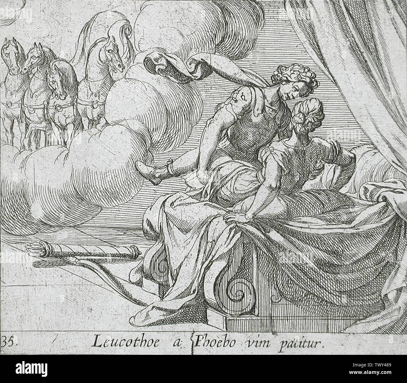 Leucothoe High Resolution Stock Photography and Images - Alamy