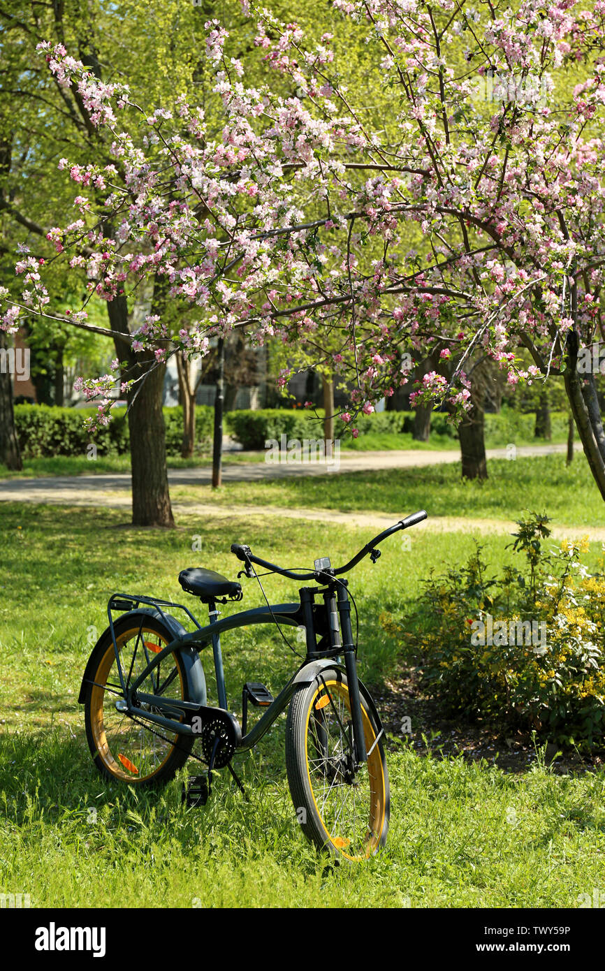 Modern bicycle in spring park Stock Photo - Alamy
