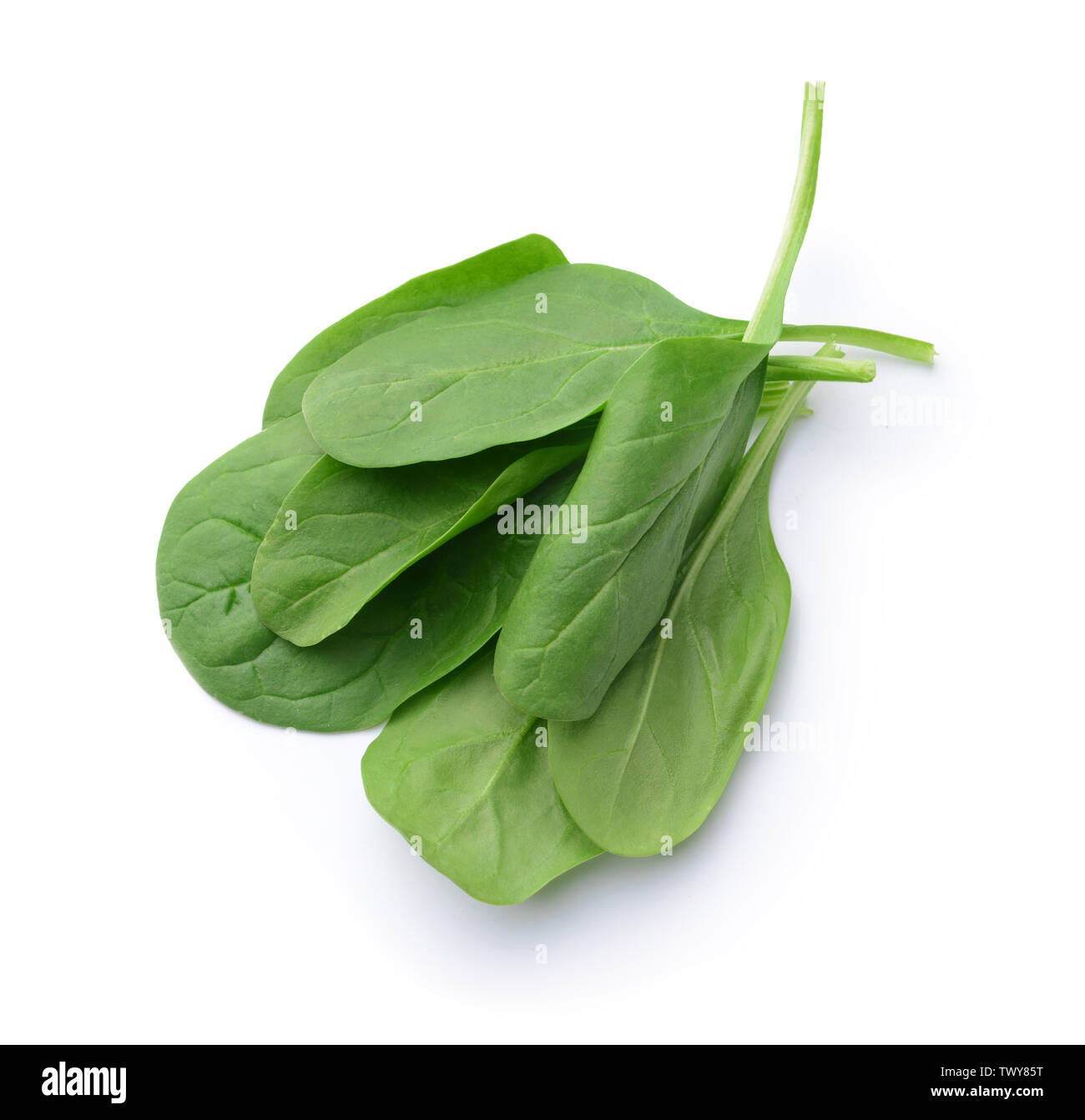 Fresh spinach on white background Stock Photo - Alamy