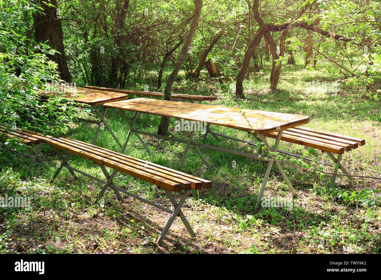 Wooden tables with benches in forest Stock Photo - Alamy