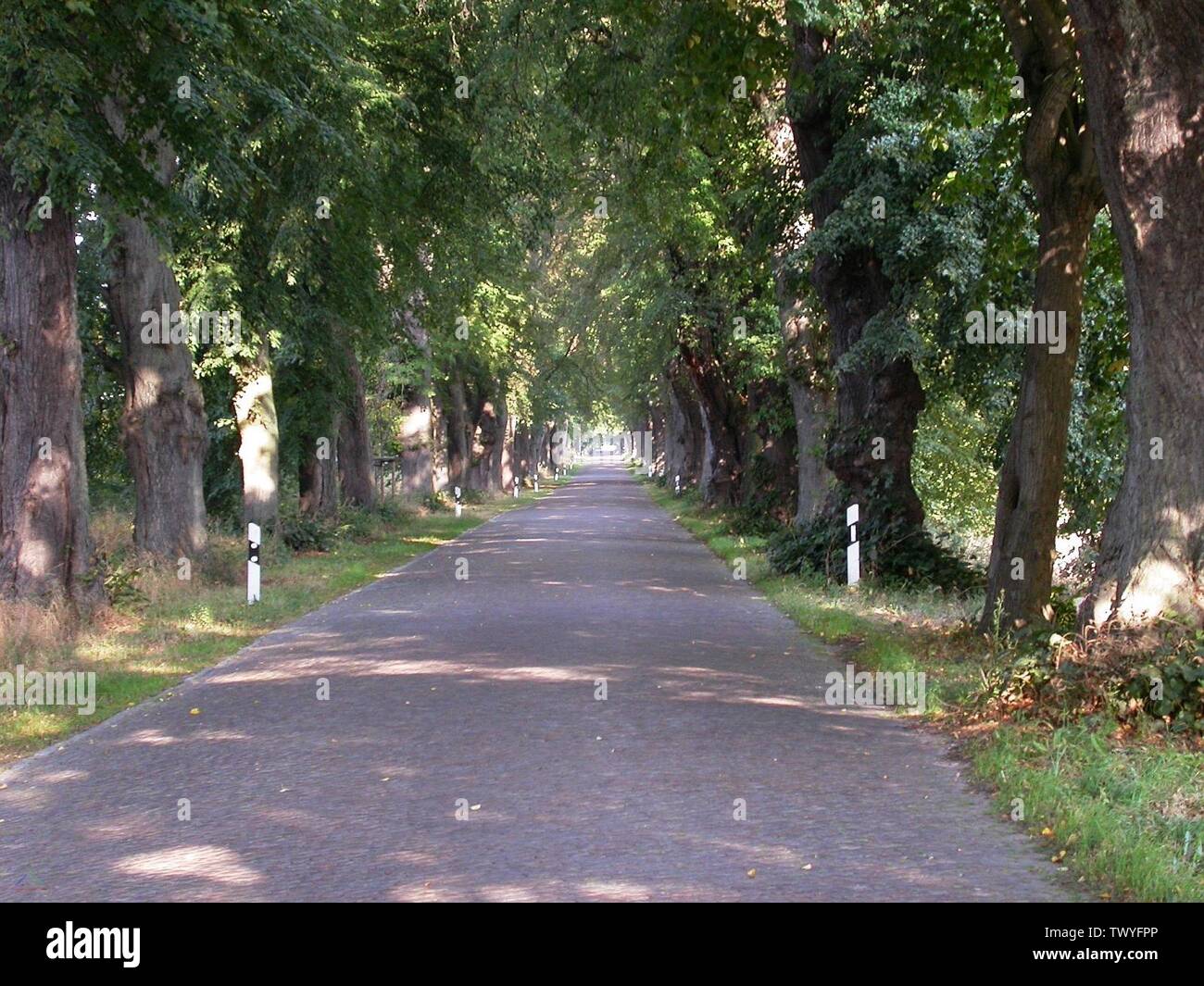 August reinberg hi-res stock photography and images - Alamy