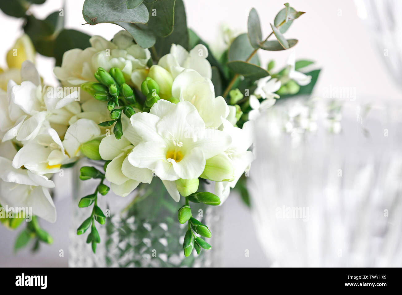 Fresh freesia flowers hi-res stock photography and images - Alamy