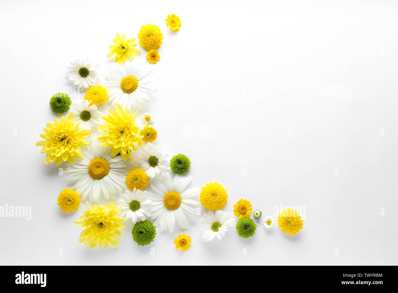 Beautiful flower composition on white background Stock Photo - Alamy