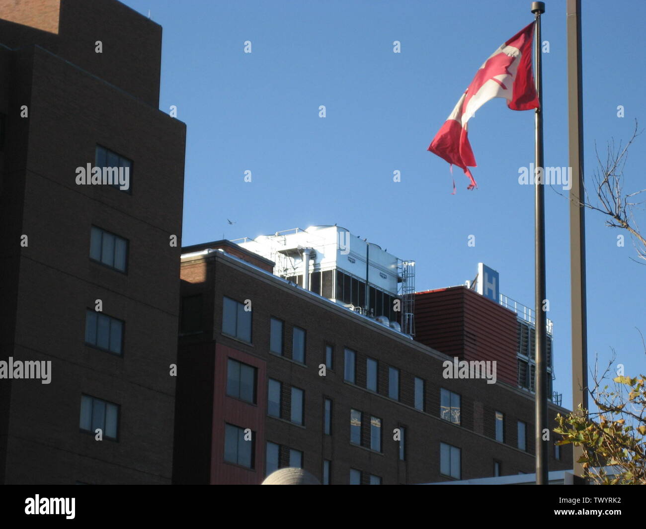 Hamilton General Hospital High Resolution Stock Photography and Images ...
