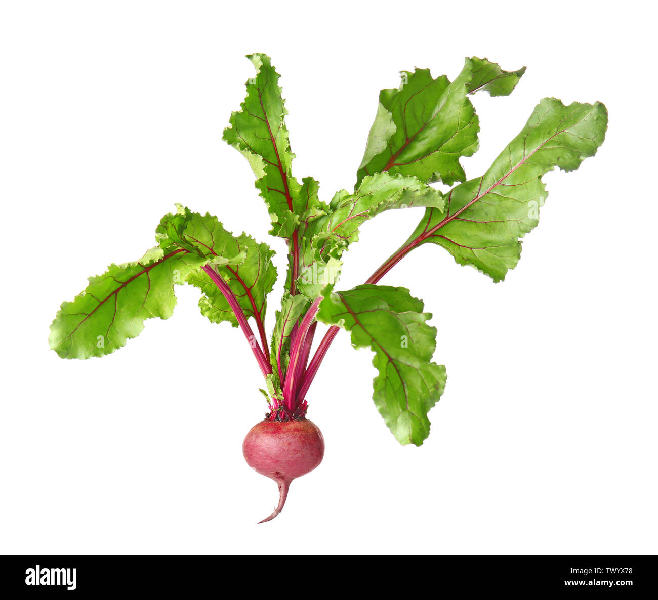 Fresh beet on white background Stock Photo - Alamy