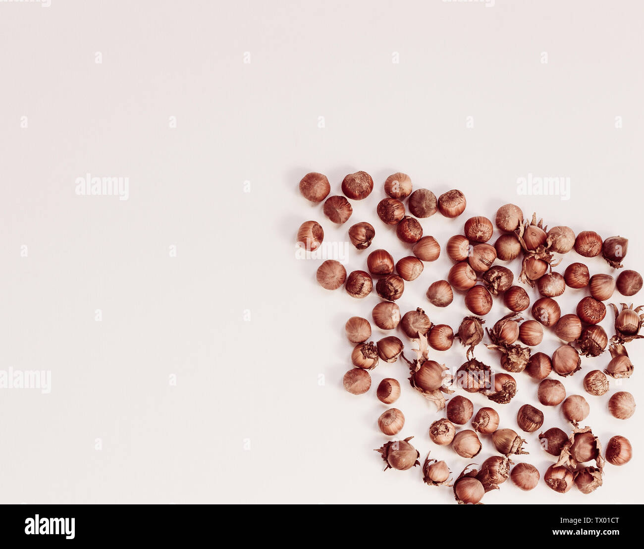 Hazelnut in shell hi-res stock photography and images - Alamy