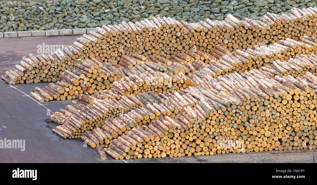 Stacks of logs piled up for export in New Zealand Stock Photo - Alamy