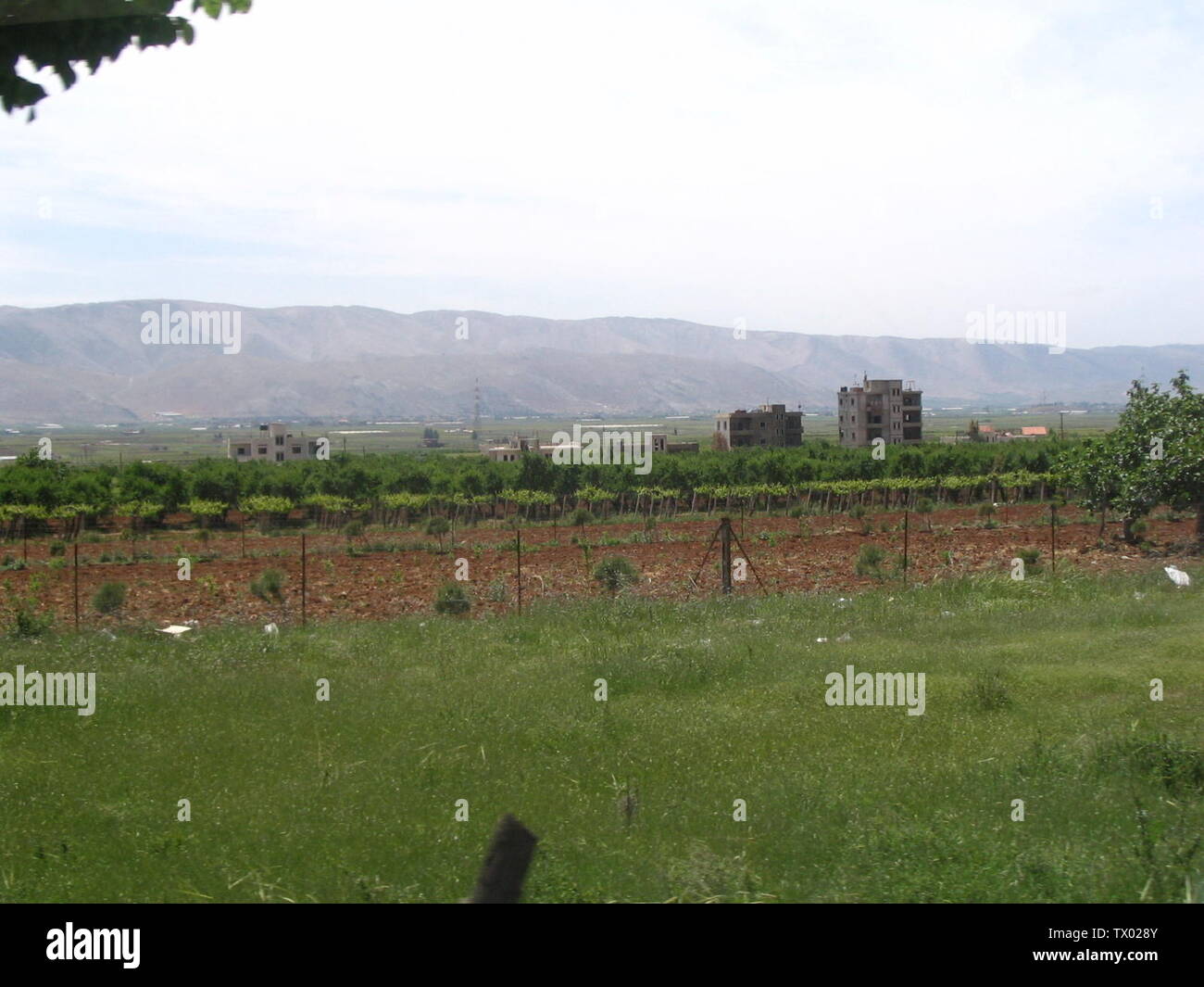 Beqaa valley lebanon hi-res stock photography and images - Alamy