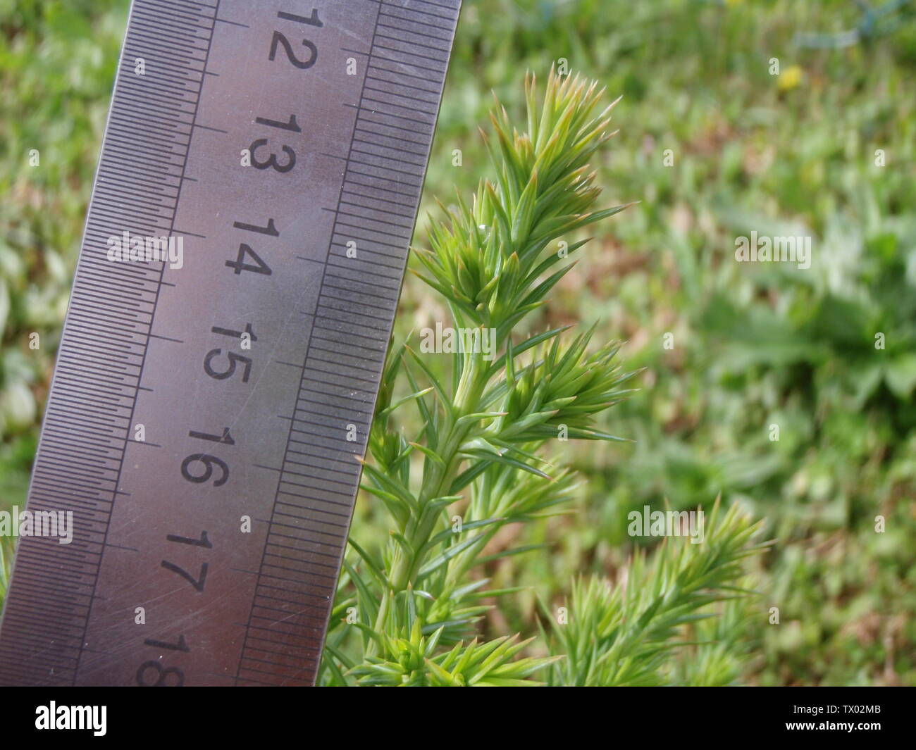 15 st hi-res stock photography and images - Alamy