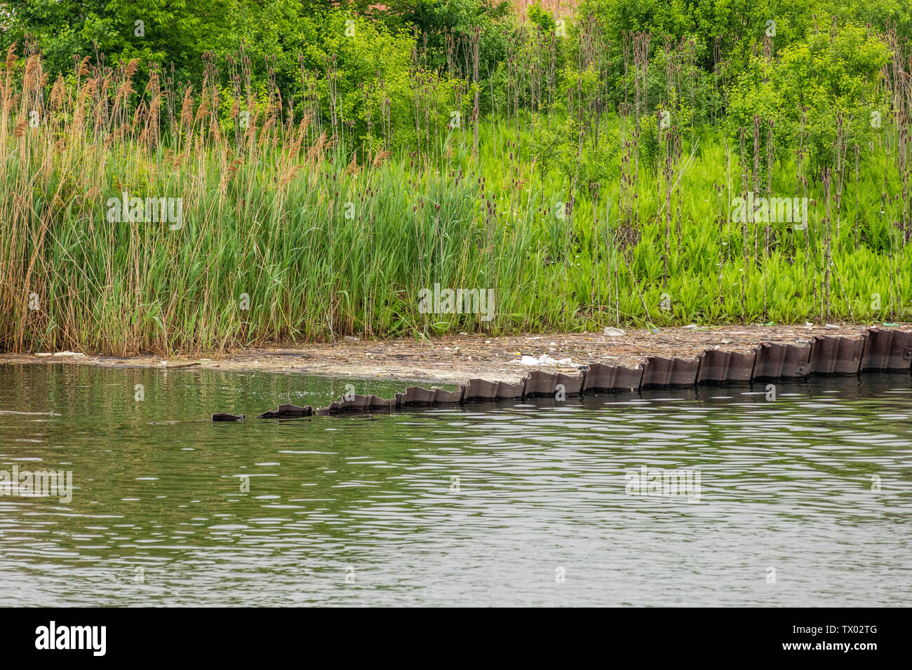 Nature intersecting with industry on the bank of the Calumet River ...