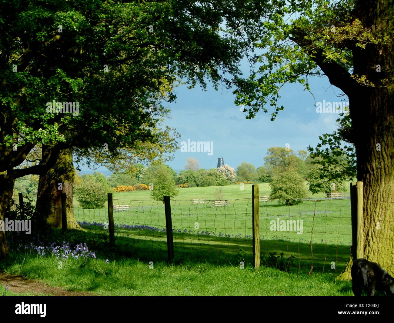 The black mill beverley hi-res stock photography and images - Alamy