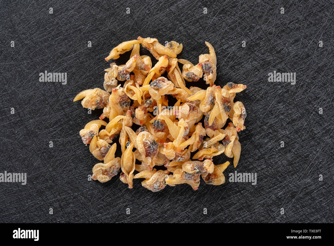 top view dry conch meat on dark background Stock Photo - Alamy