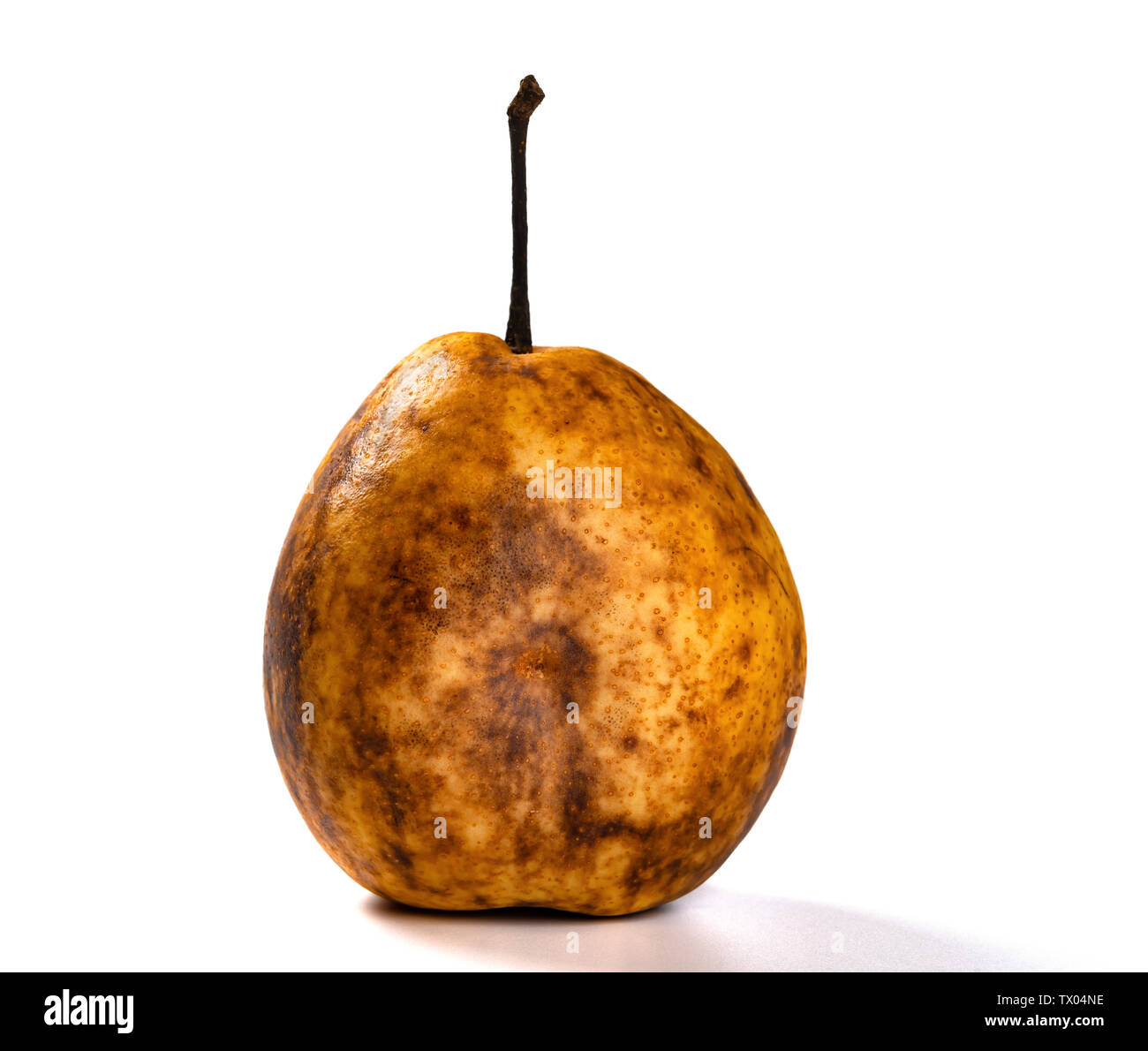 badly overripe pear on a white background Stock Photo - Alamy