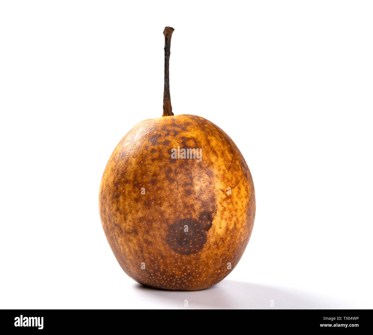 Spoiled pear hi-res stock photography and images - Alamy
