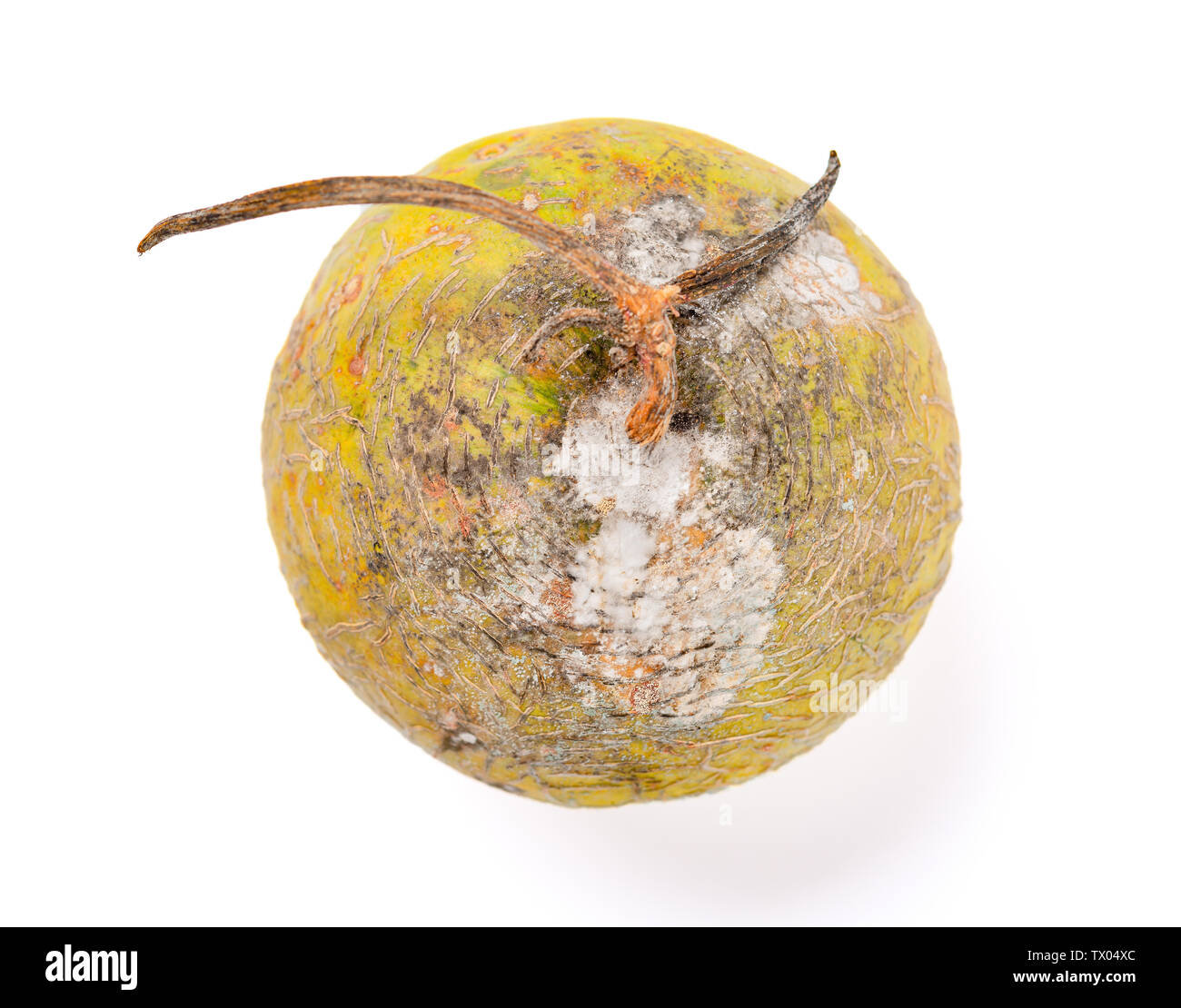 side view overripe hami melon on a white background with clipping path ...