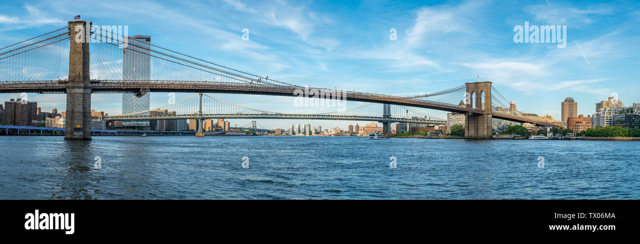 Wide Angle View of the Brooklyn Bridge and Manhattan Bridge in Summer ...
