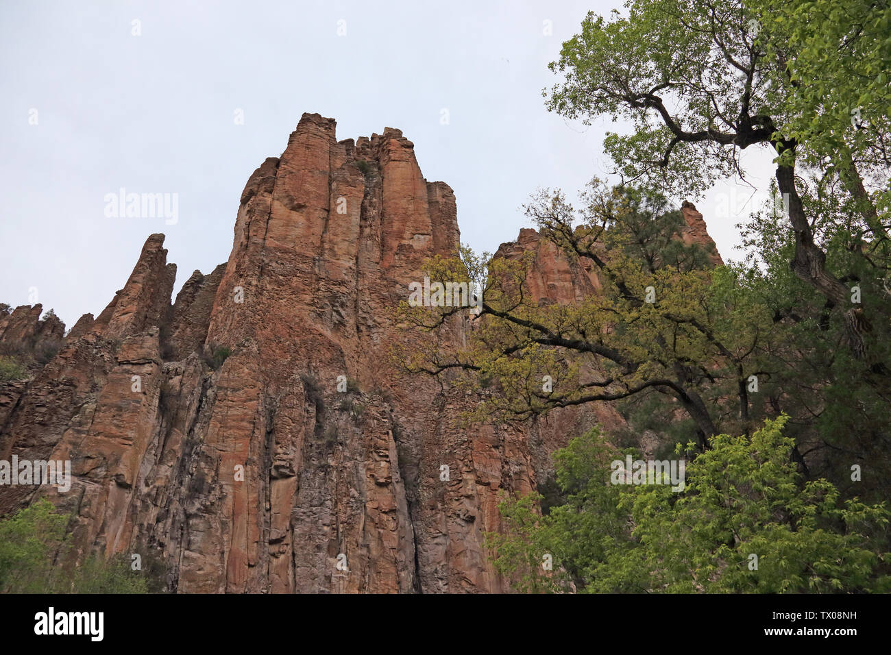 The canyon walls above Middle Fork Gila River, in the Gila National ...