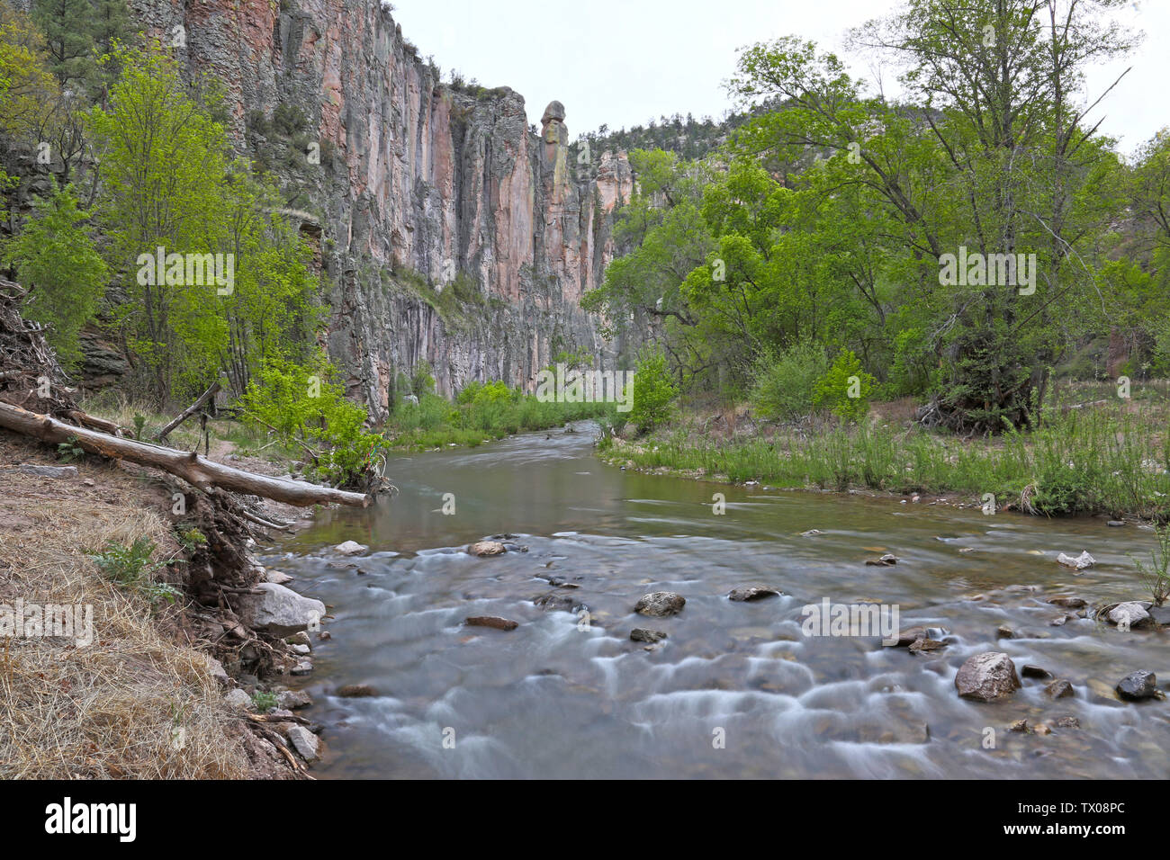 Gila national forest hi-res stock photography and images - Alamy