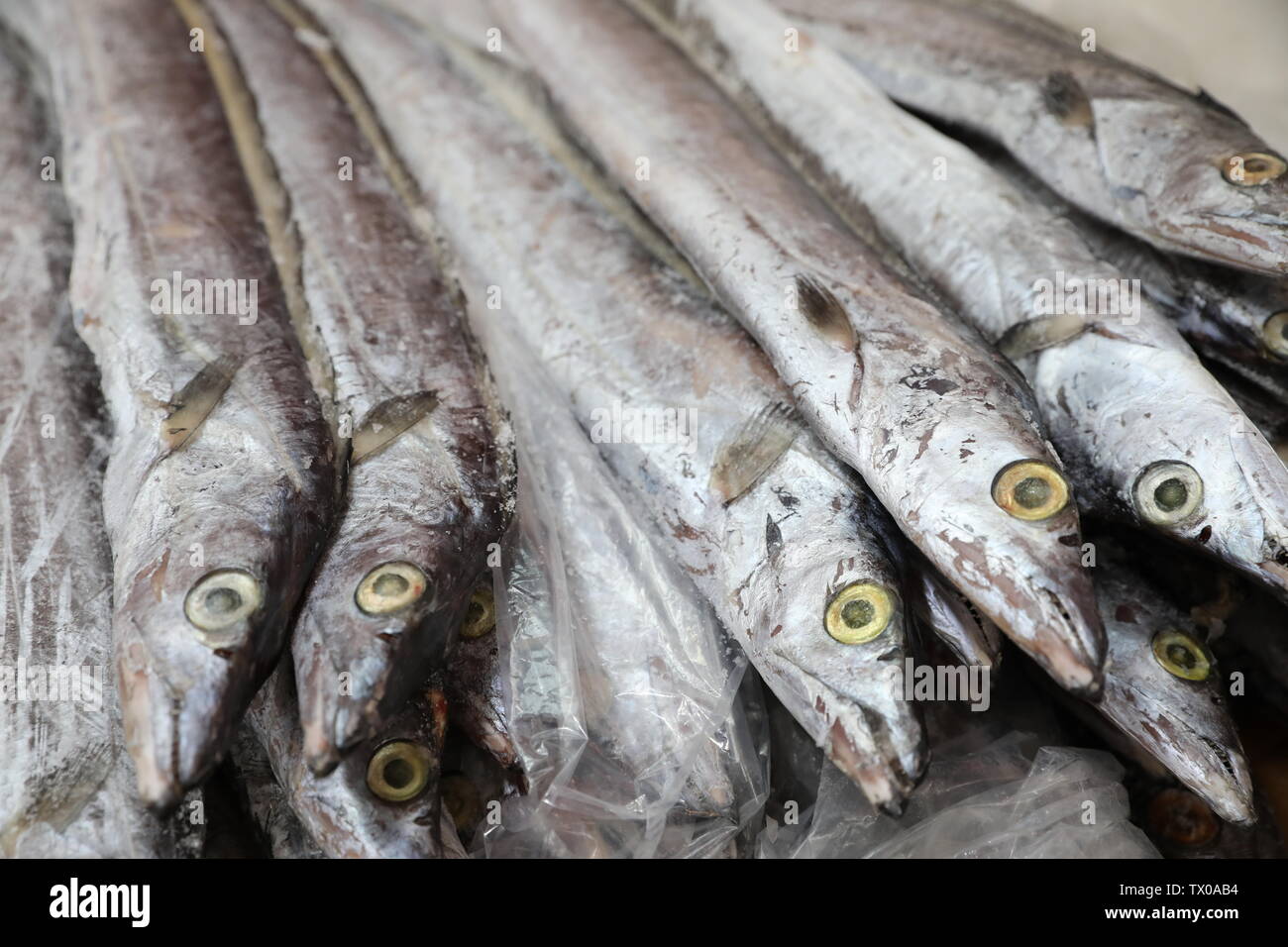 Bring fish hi-res stock photography and images - Alamy