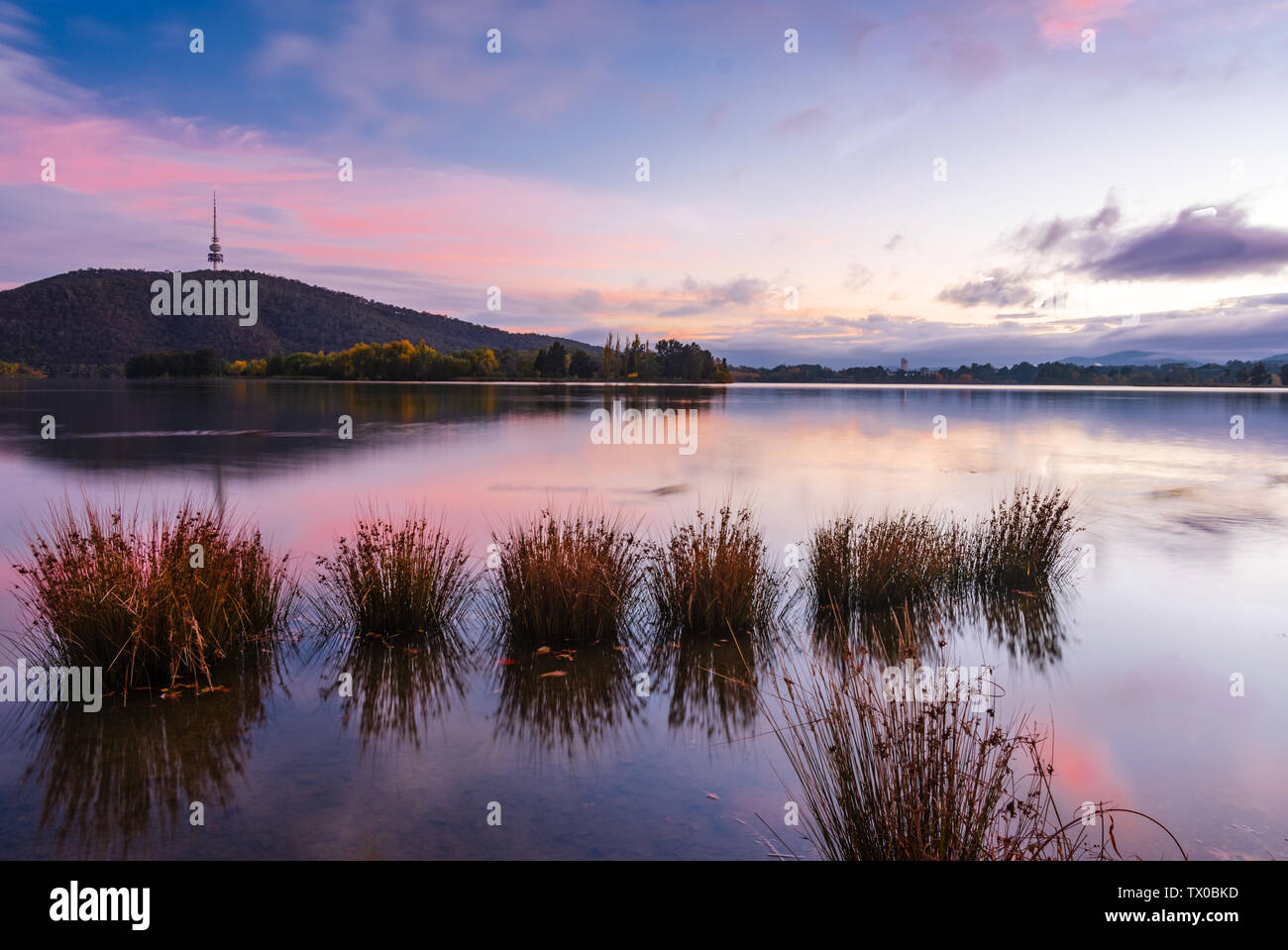 Sunrise over Black Mountain - Canberra - Australia Stock Photo - Alamy