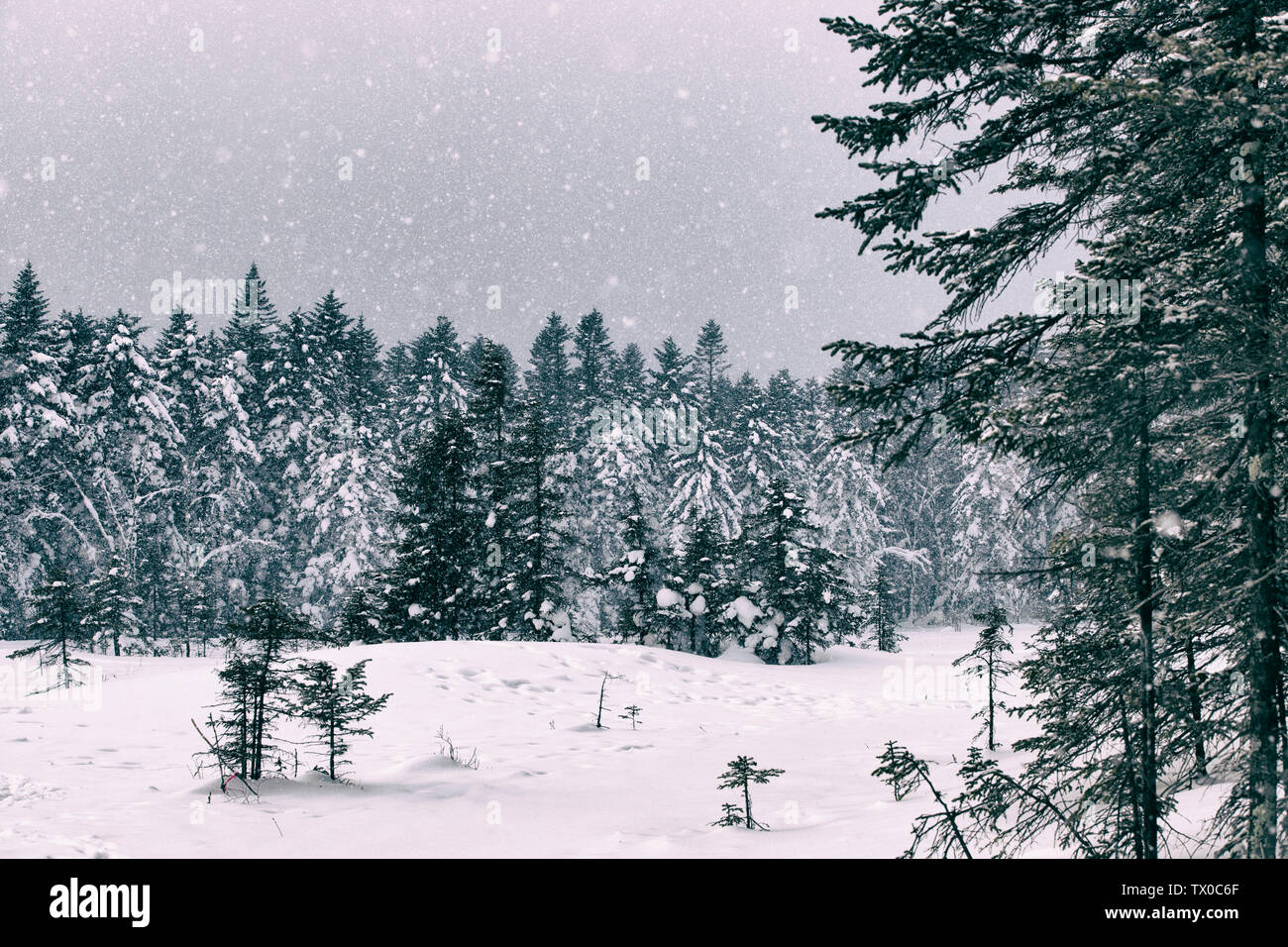 Old rick lake hi-res stock photography and images - Alamy