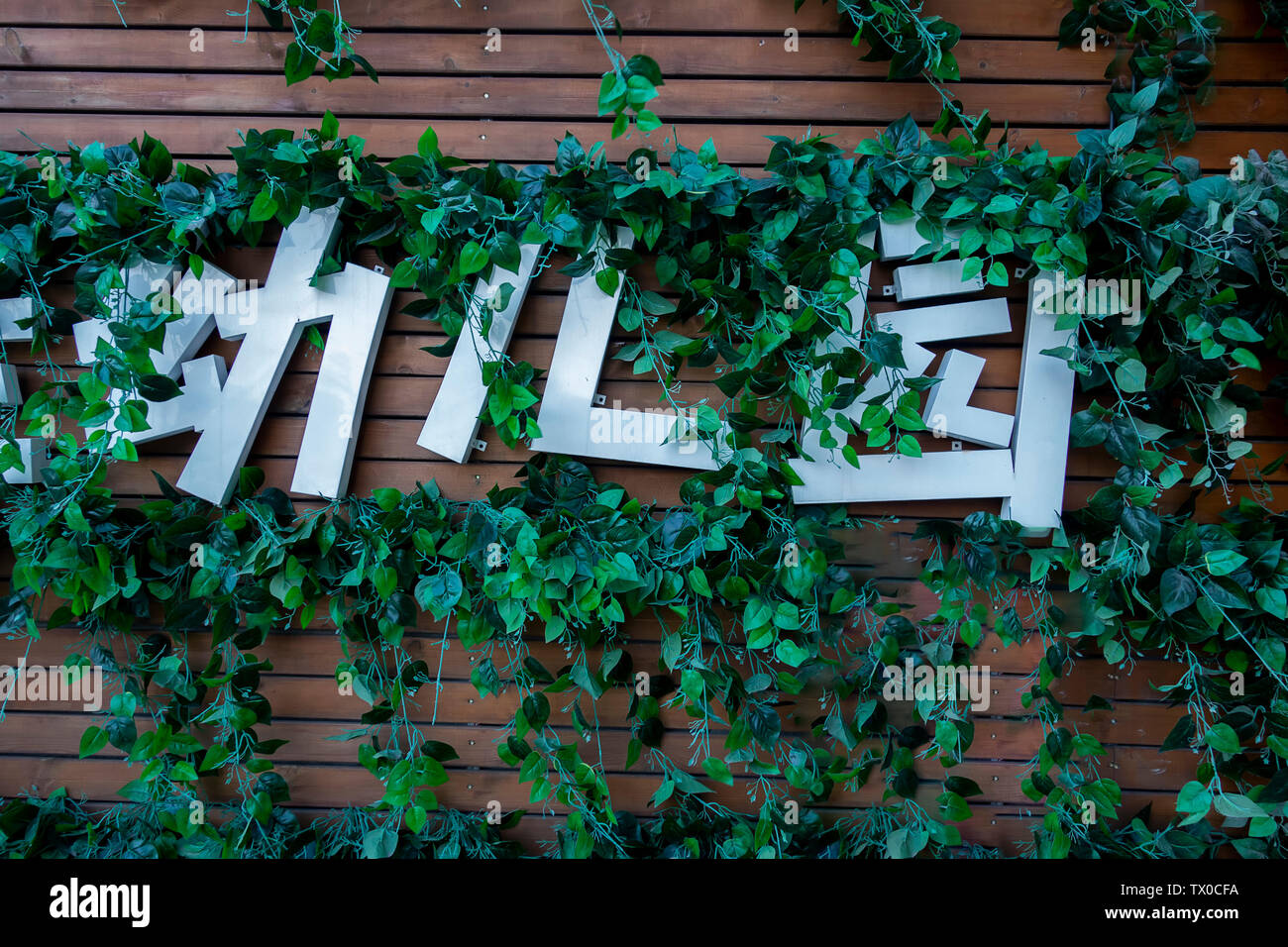 Kindergarten gate decorated with green plant leaves Stock Photo - Alamy