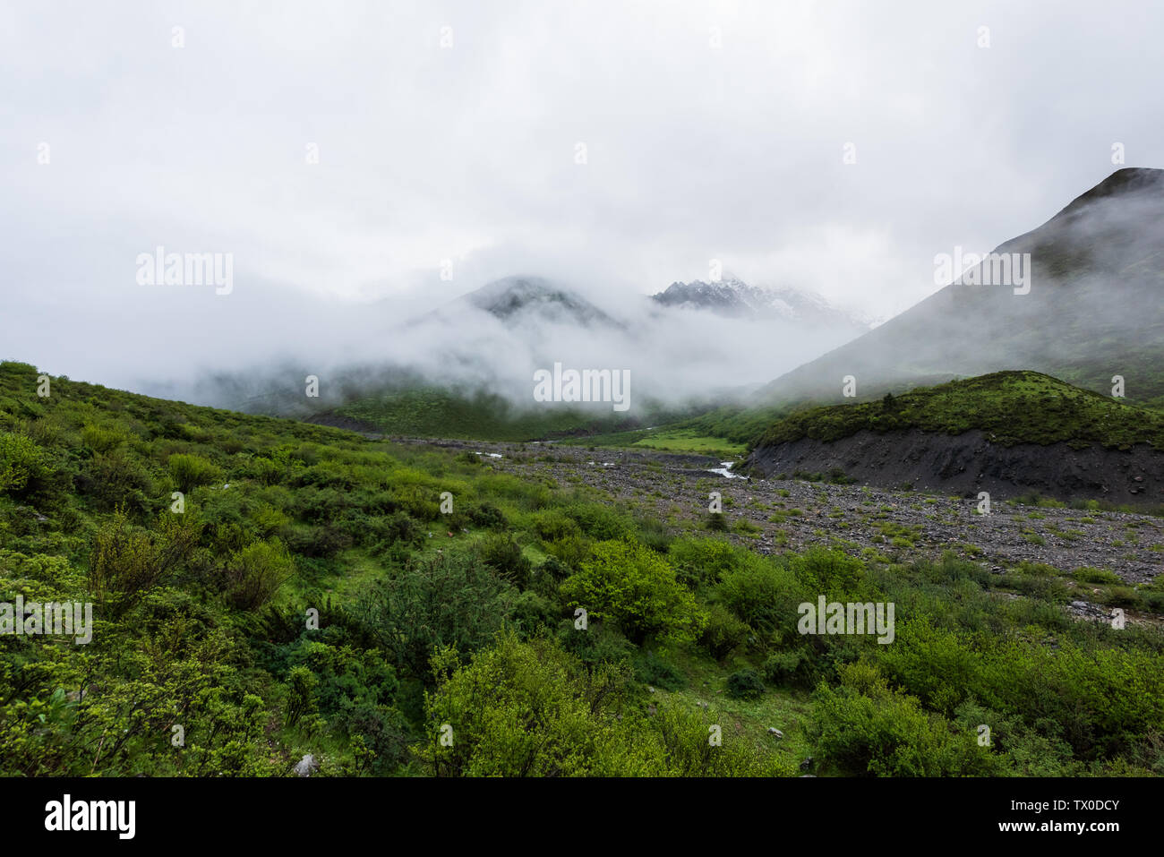 Gonga mountain hi-res stock photography and images - Alamy