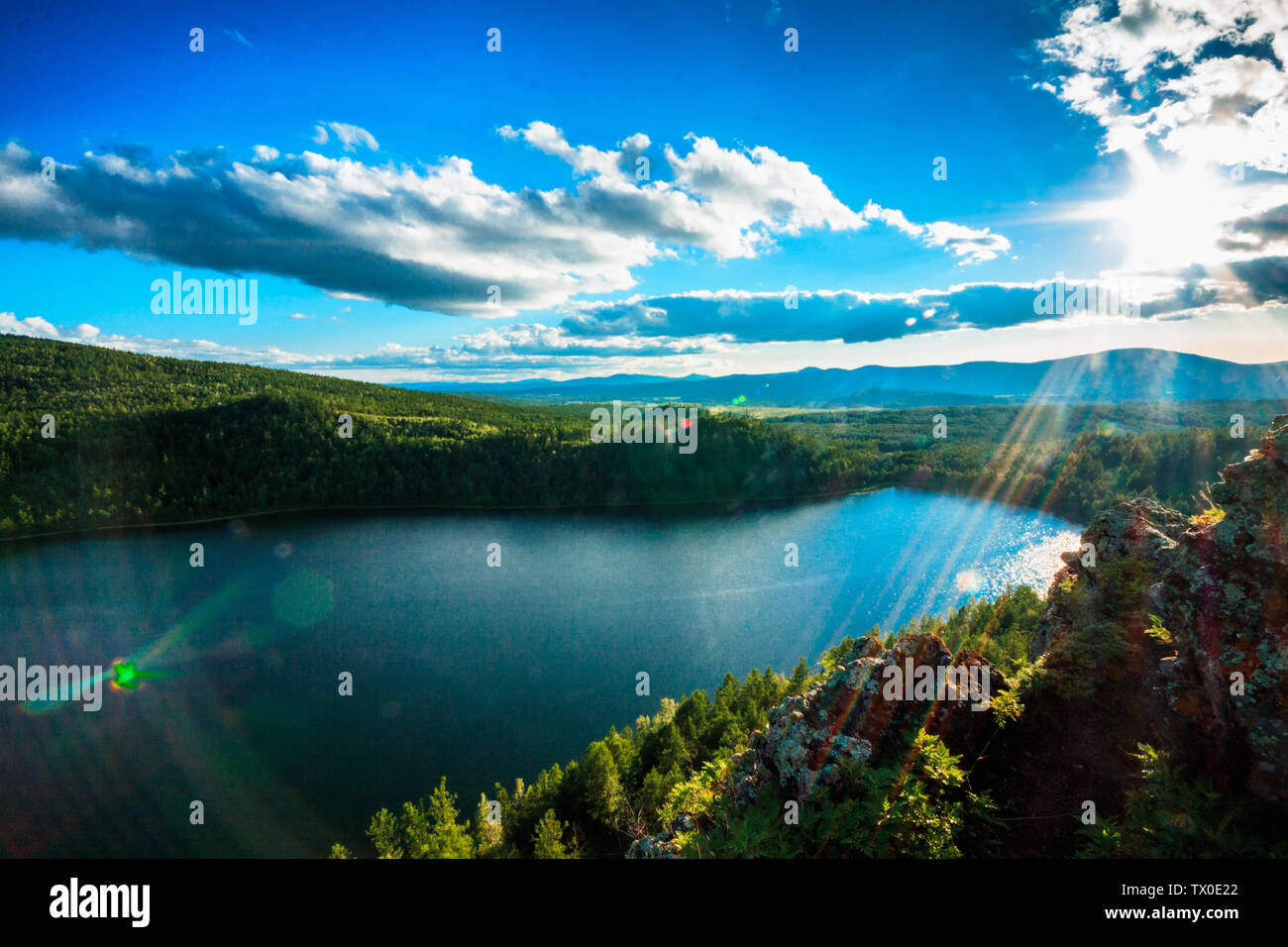 The flowers and grass of Alshan Stock Photo - Alamy