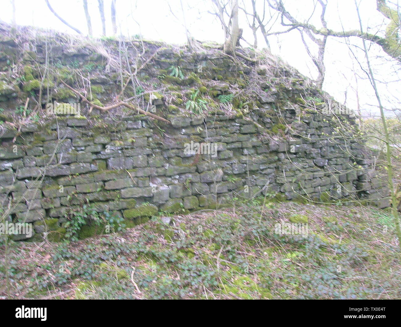 Beith Scotland High Resolution Stock Photography and Images - Alamy