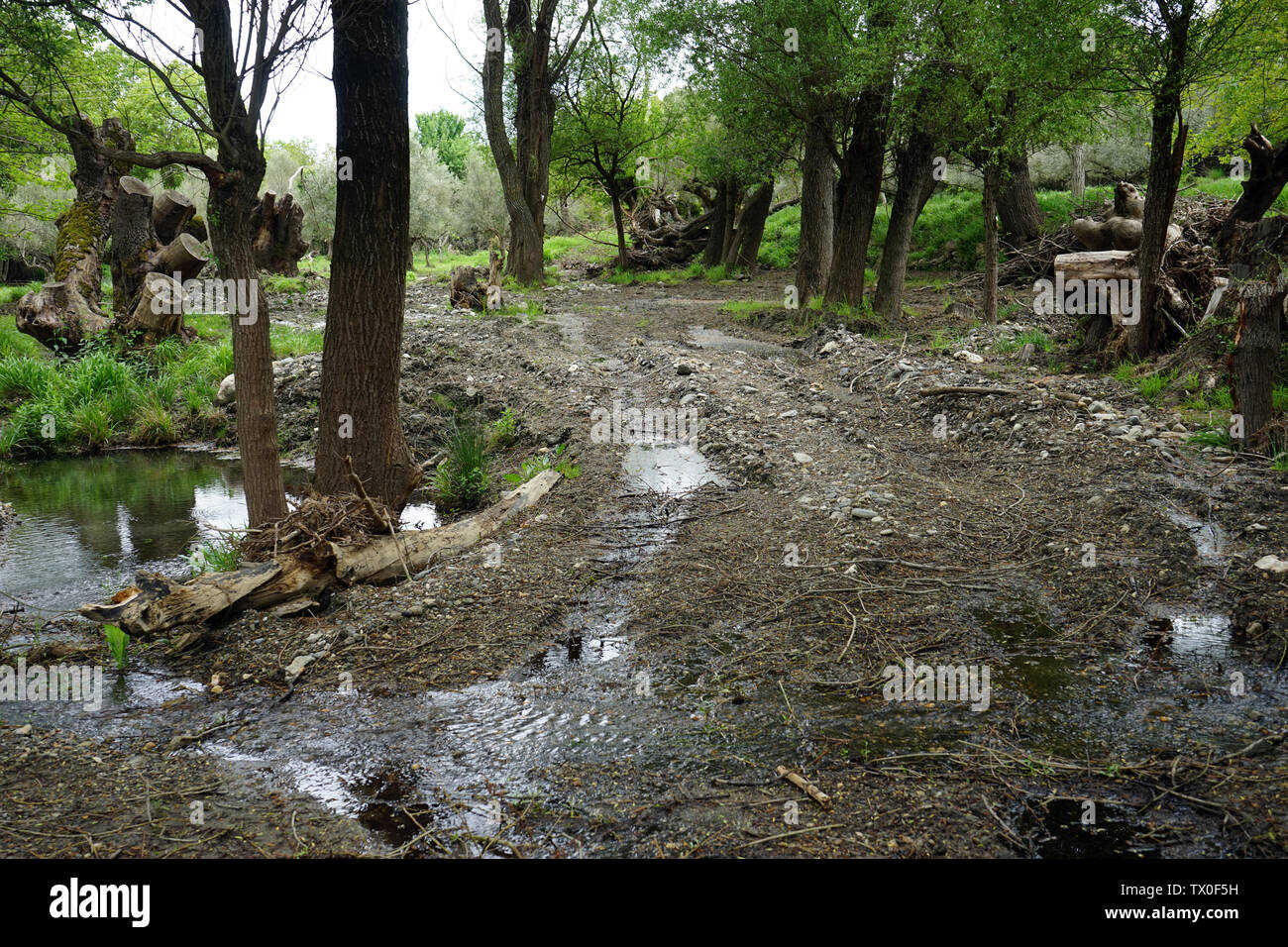 Wet dirt road near river in Greece Stock Photo - Alamy