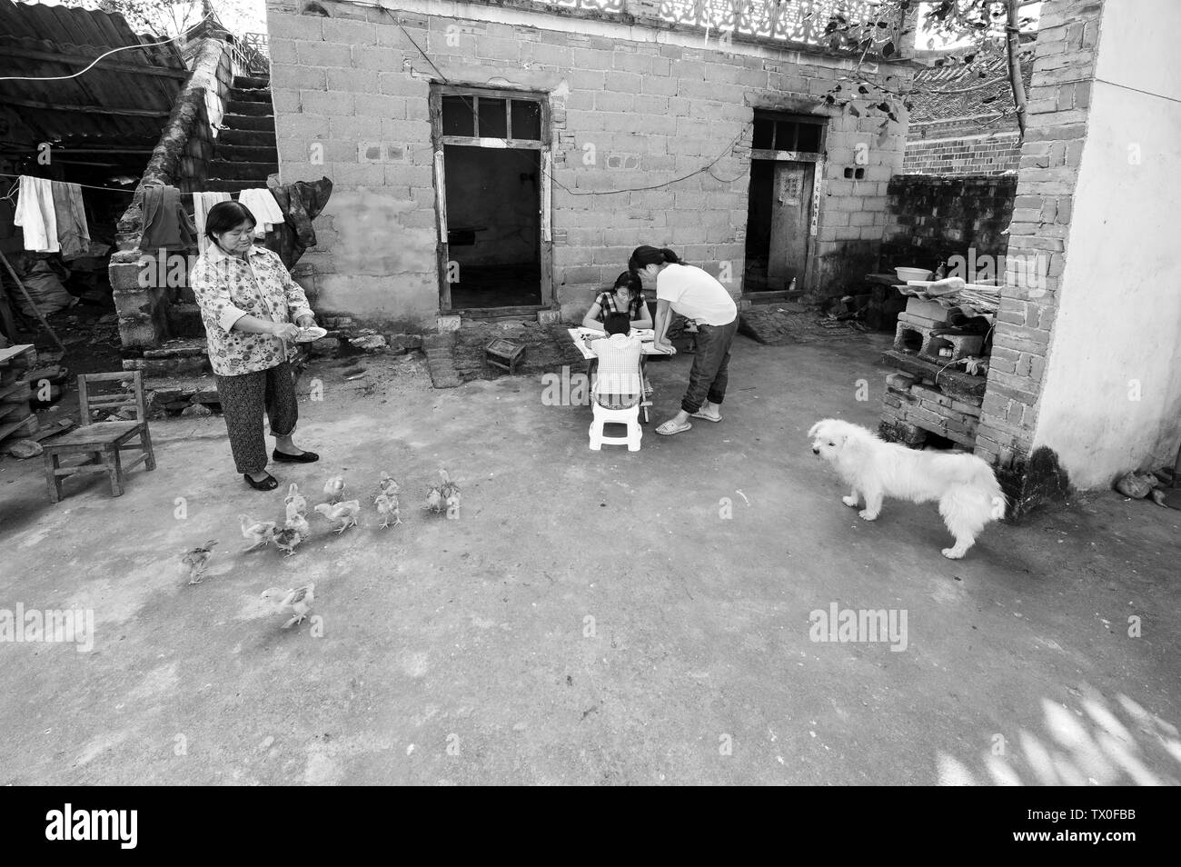 Grazing difference between students hi-res stock photography and images ...