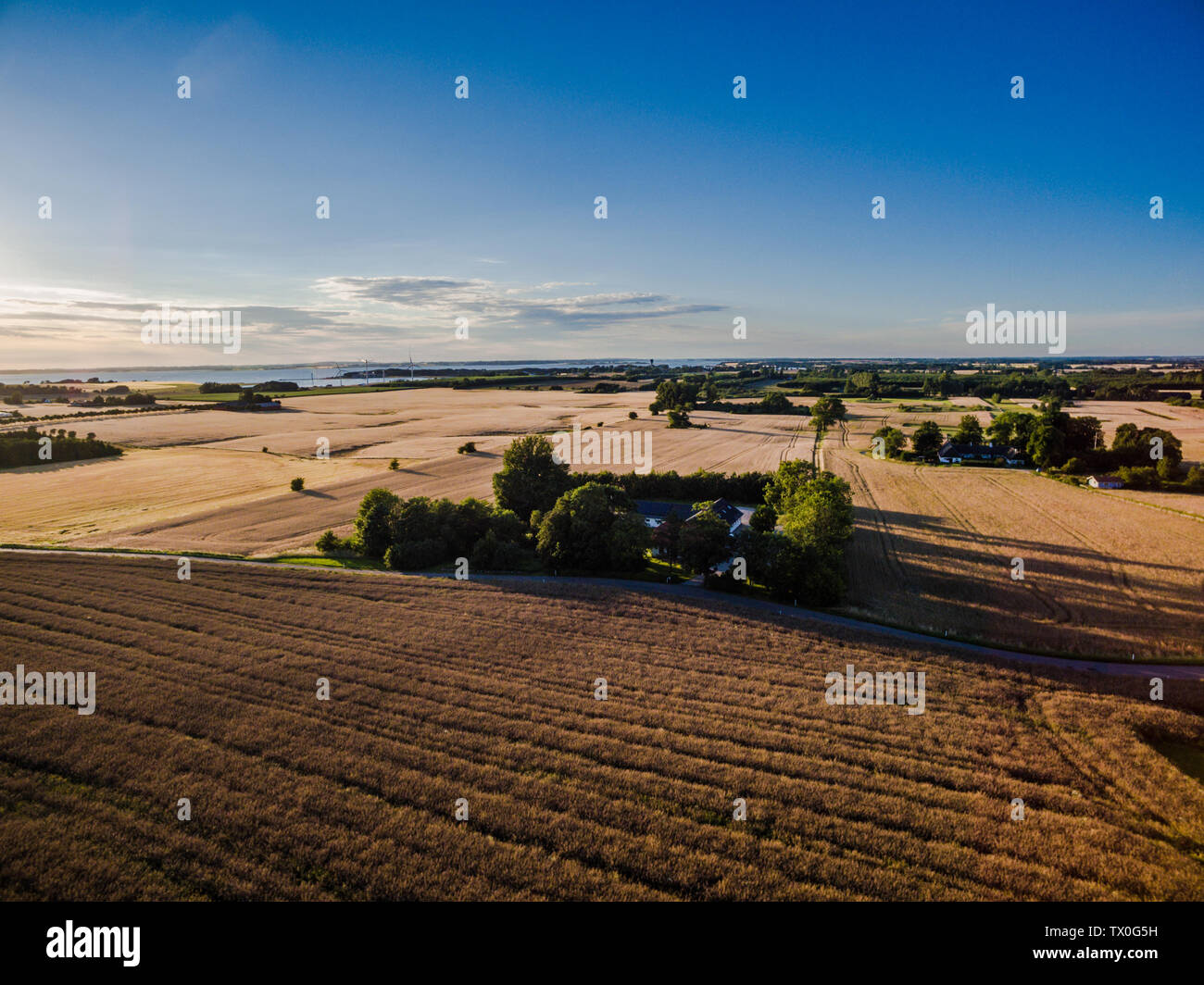 Danish pastoral scenery Stock Photo - Alamy