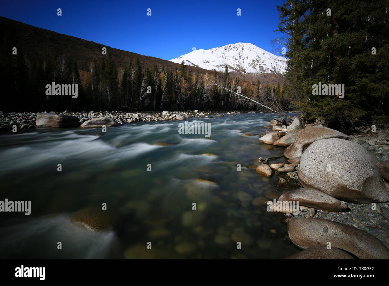 Autumn color of grasses Stock Photo - Alamy