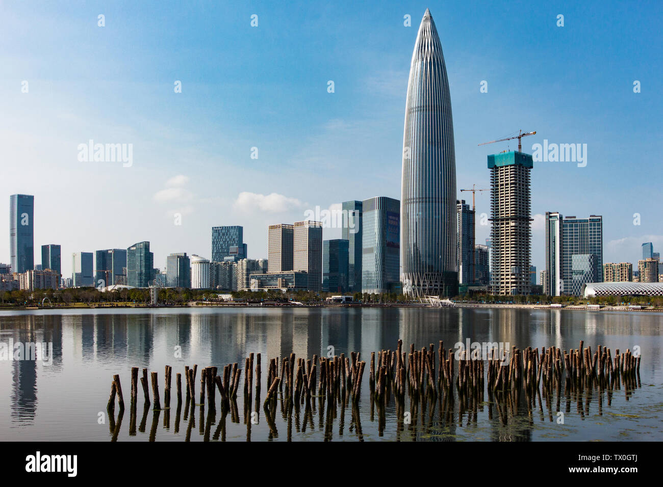 spring bamboo shoots Stock Photo - Alamy