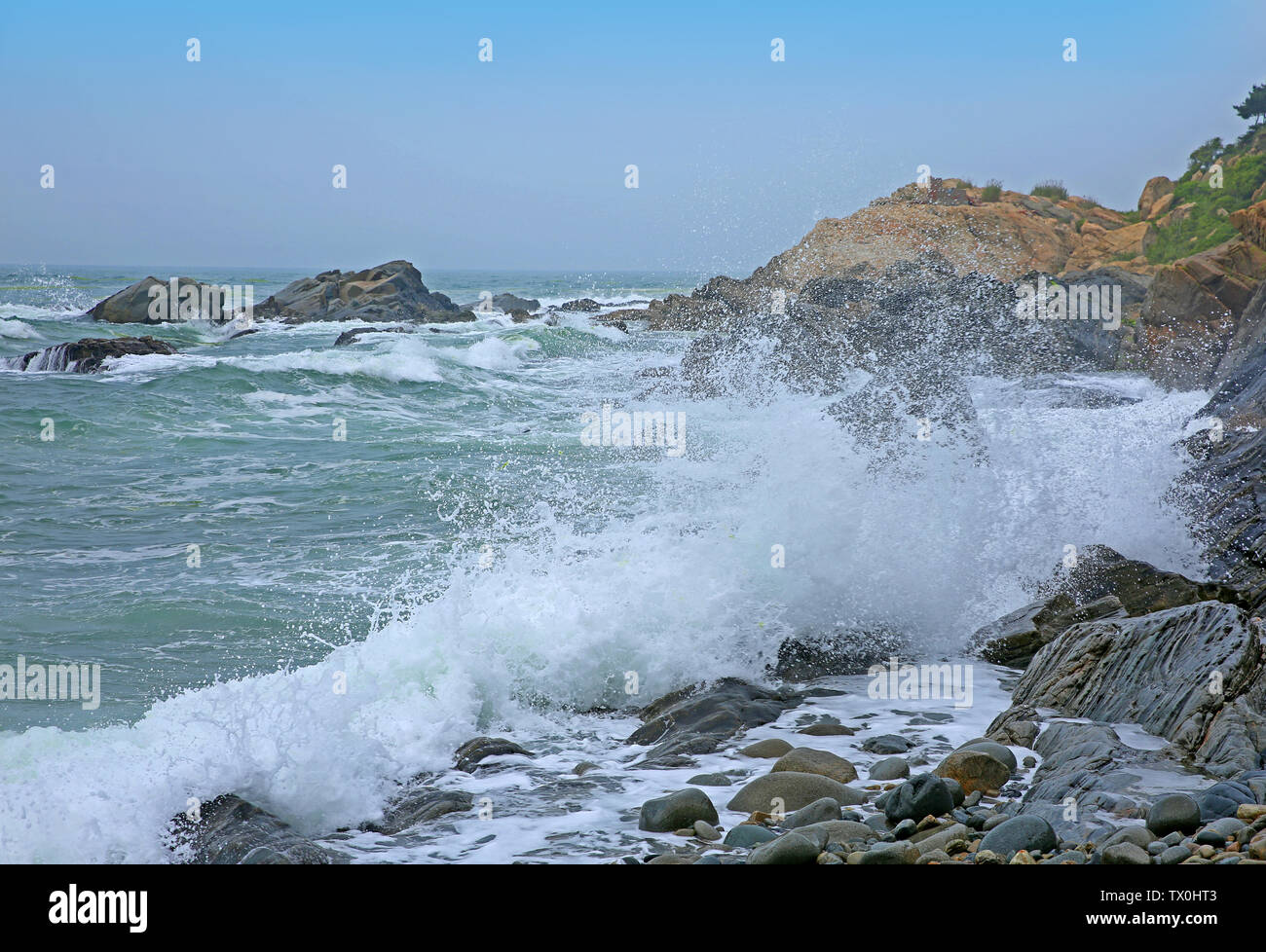 A group of pictures of the soul of the sea Stock Photo - Alamy