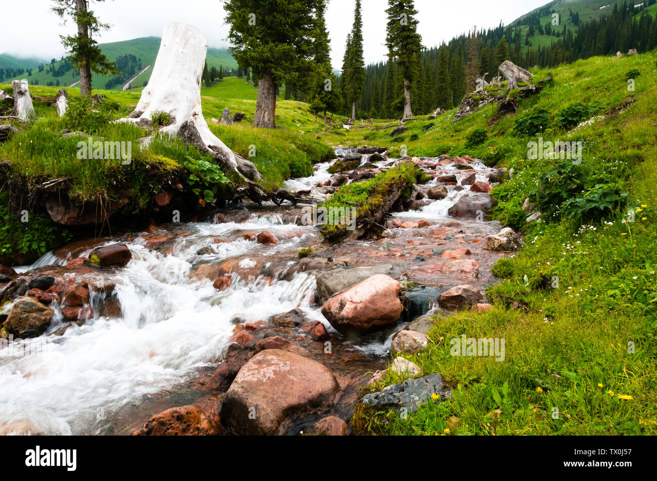 The creek of the Narati prairie in Xinyuan, Xinjiang Stock Photo - Alamy