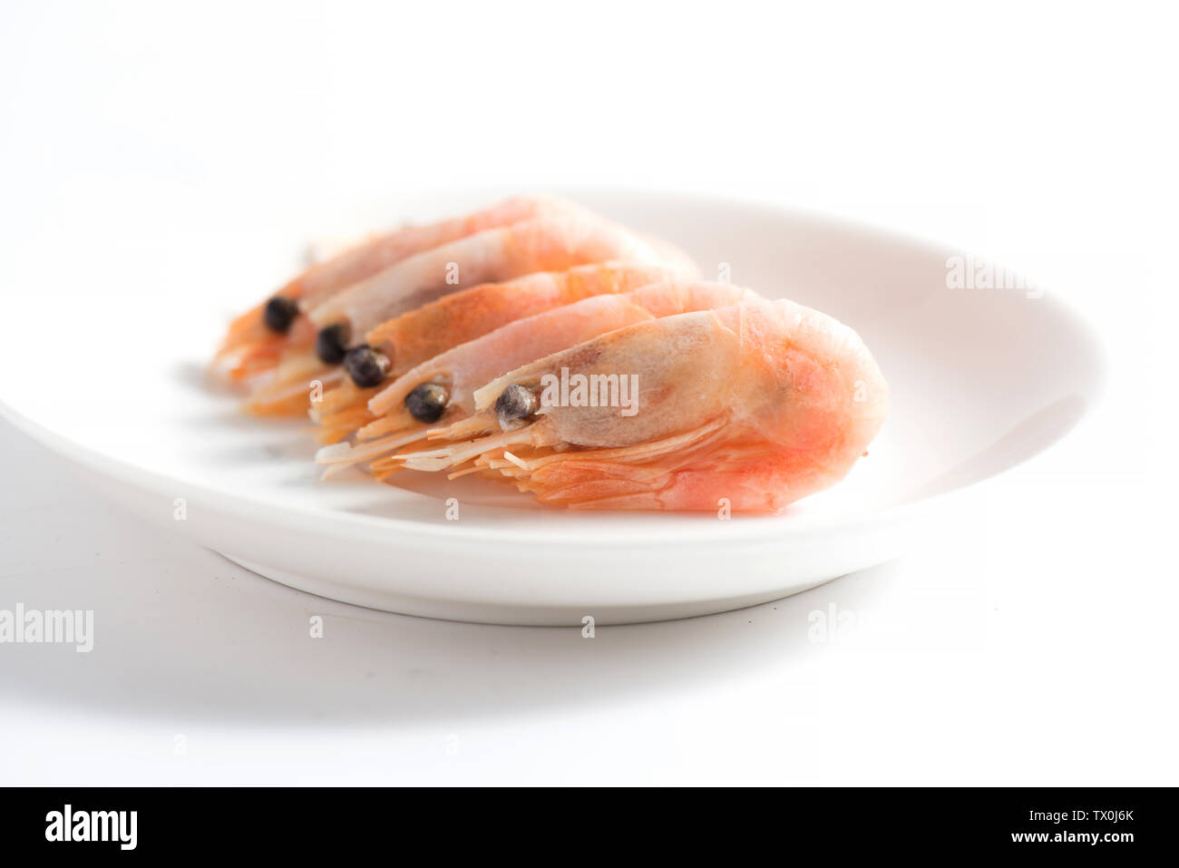 Arctic shrimp Cut Out Stock Images & Pictures - Alamy